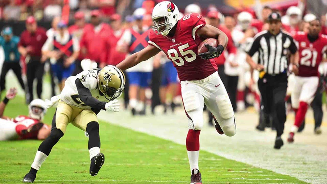 Darren Fells' 2015 highlight reel