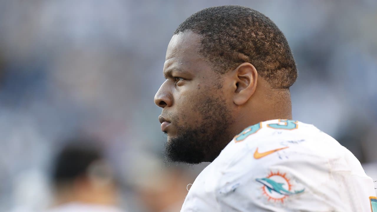 Get To Know The Dolphins