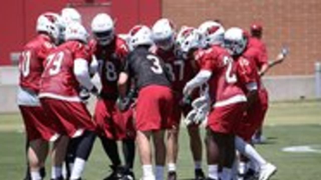 Josh Rosen Joins Veterans For First Time