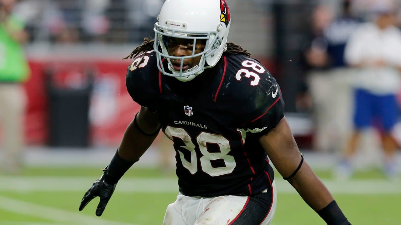 Goodwin talks Andre Ellington and the running game