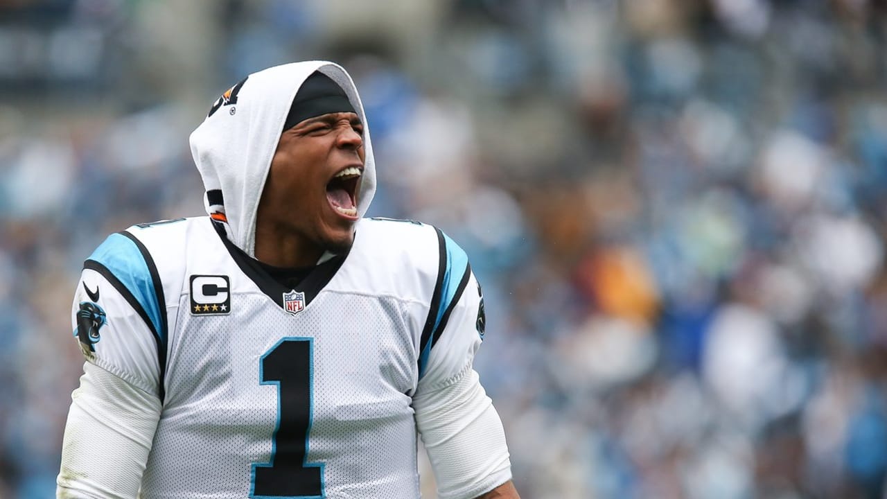 Get to know the Panthers