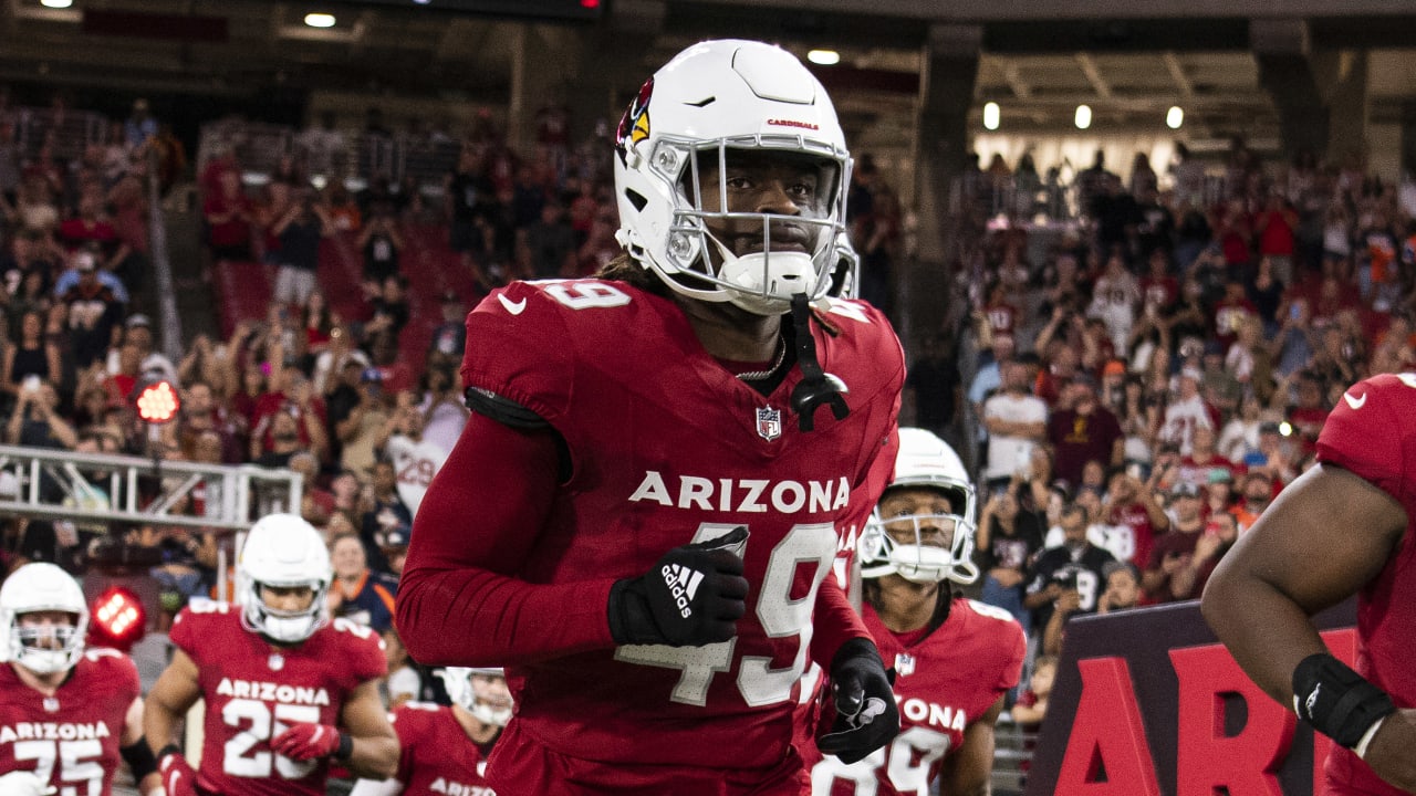 Cardinals Bring Back Stevie Scott; Release Matt Haack