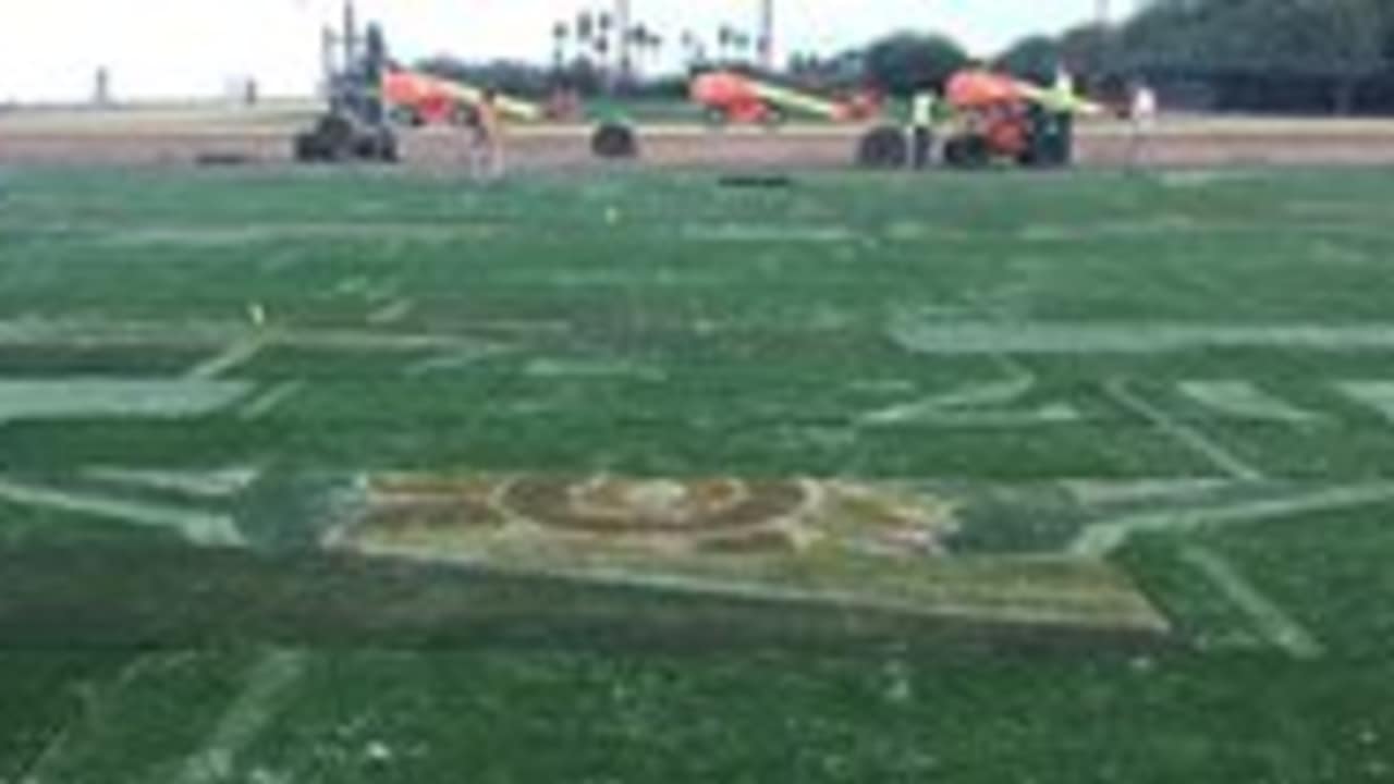 A New Field In Tempe And A Tray Upgrade
