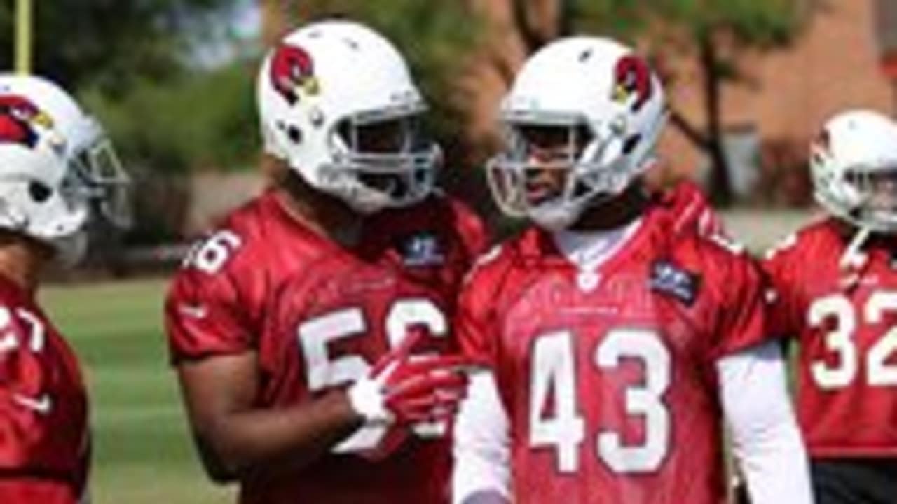 Karlos Dansby Will Consider Coaching