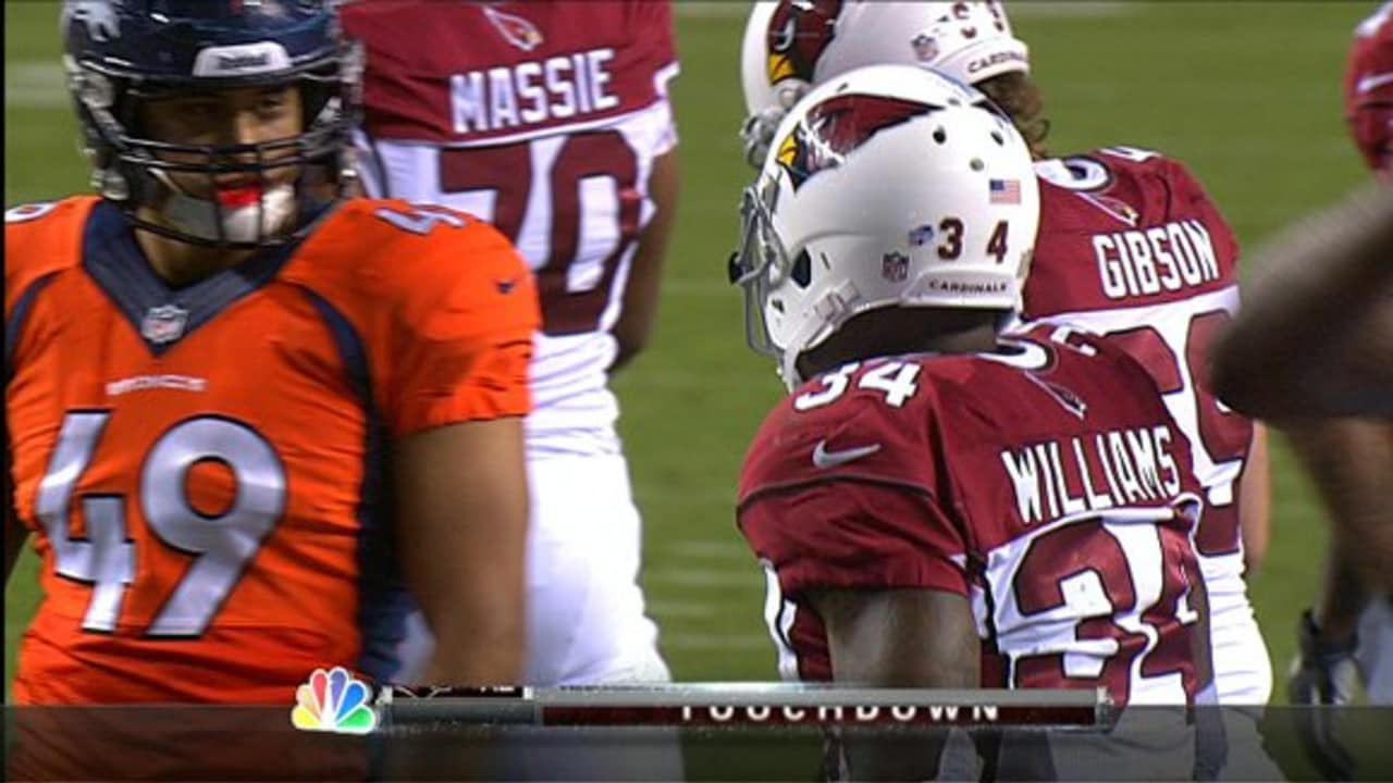 Ryan Williams 1-yard TD run