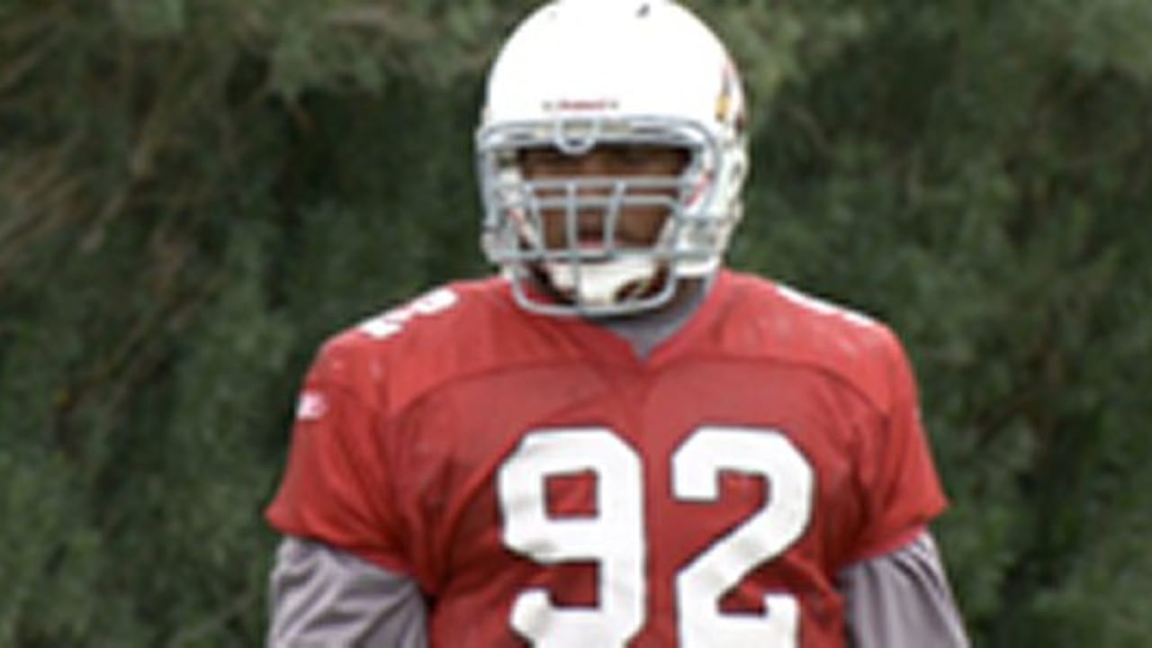 The progress of Dan Williams