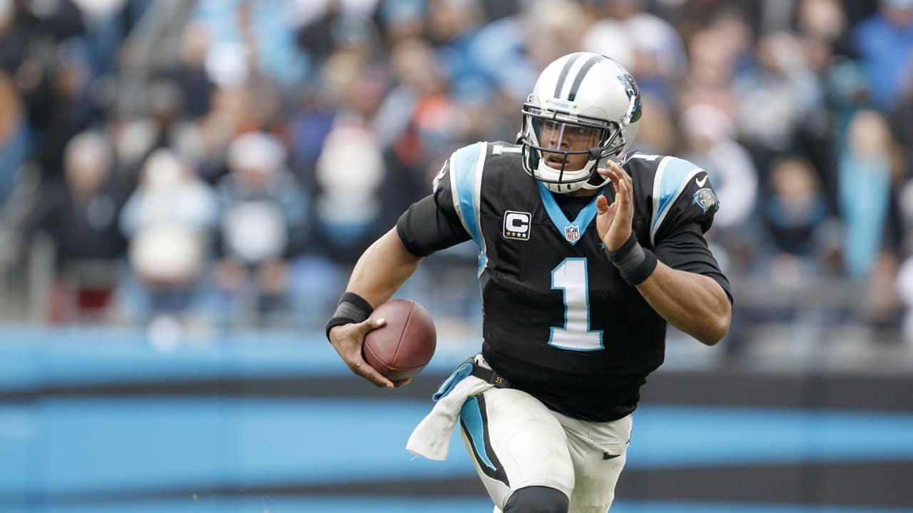 Get to know the Panthers