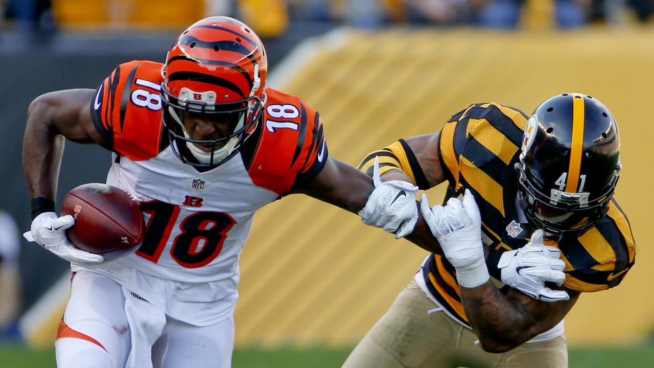 Get to know the Bengals