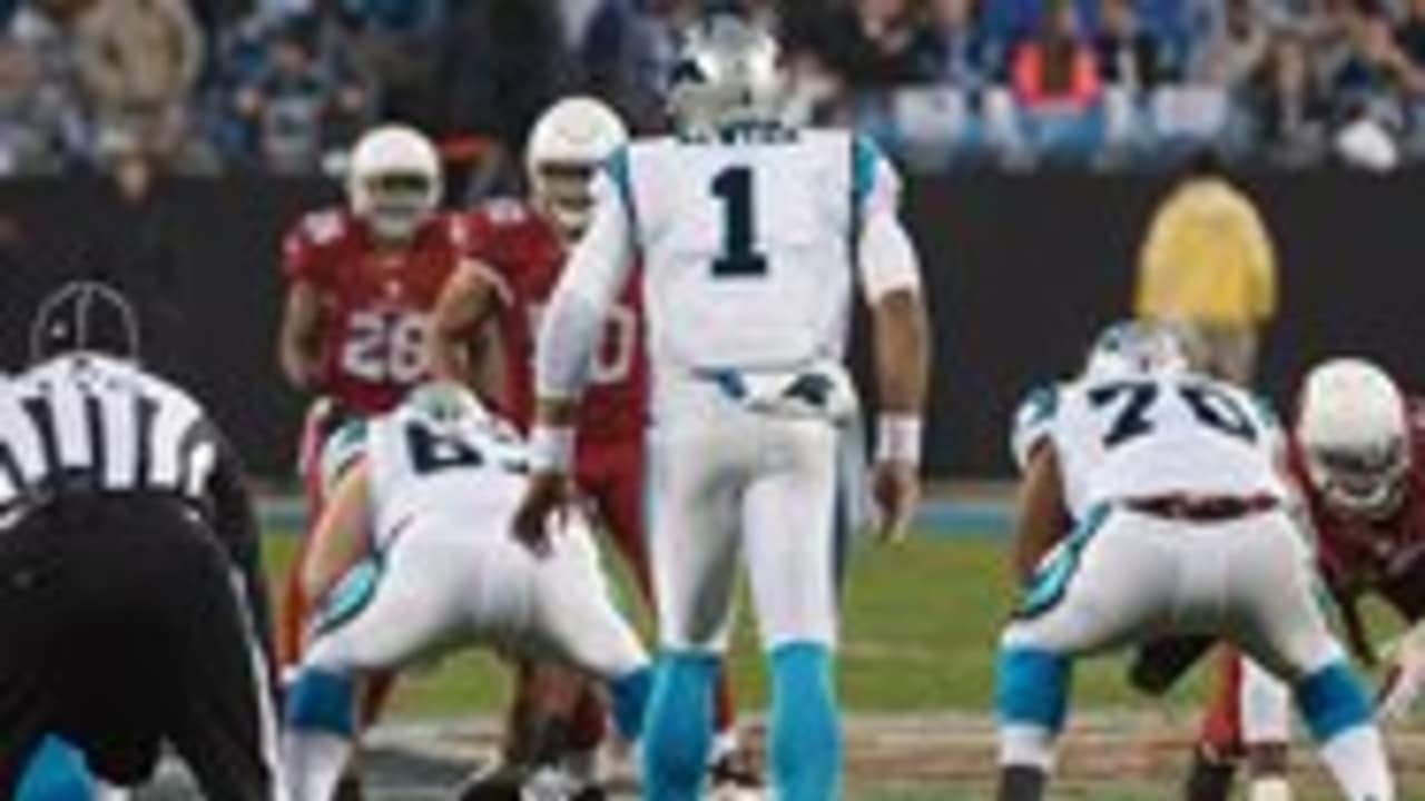 First Look At The Panthers