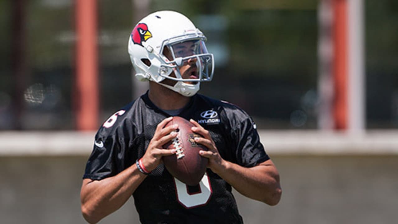 Salud de Palmer y una temporada baja para Logan Thomas