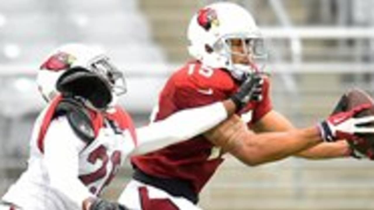Getting Physical With Michael Floyd
