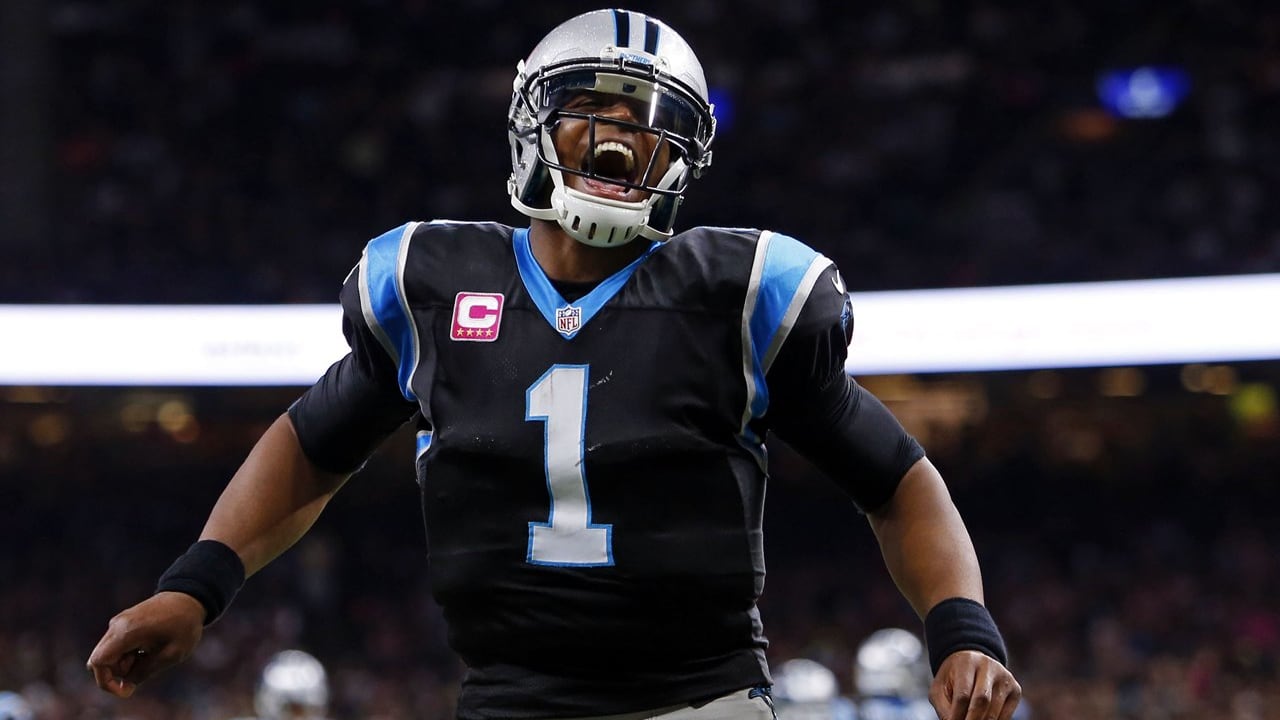 Get To Know The Panthers