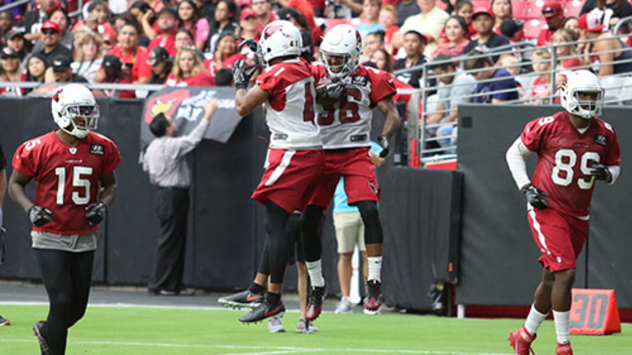 Badger and the first padded practice