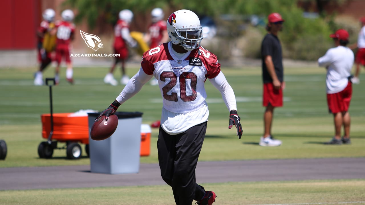 Roster Overview: Linebackers