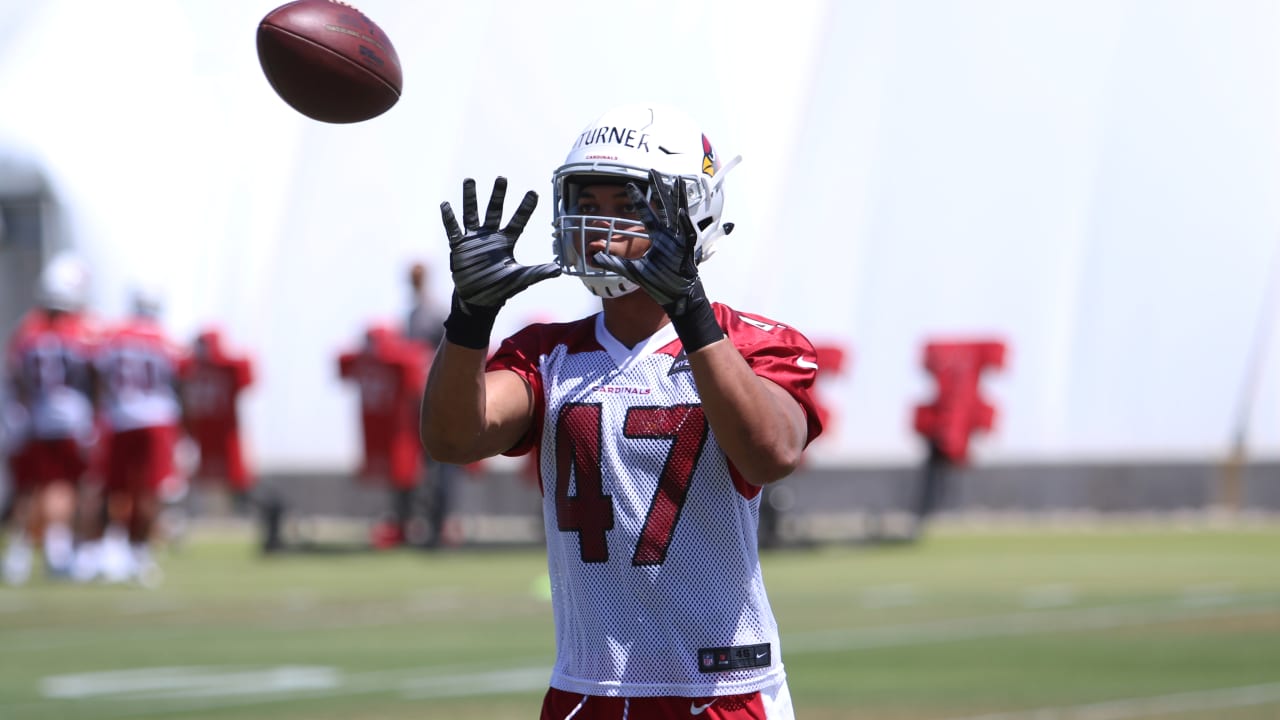 Hybrid Goals For Zeke Turner