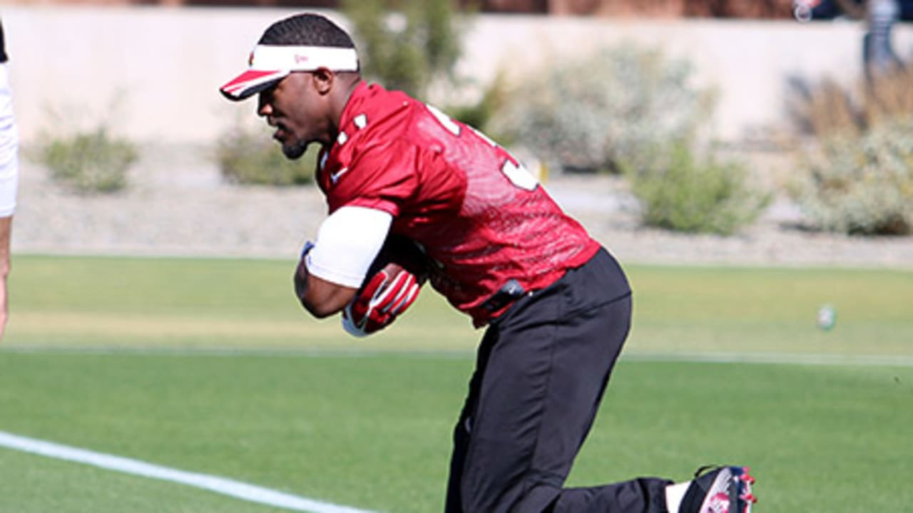 David Johnson on the rise