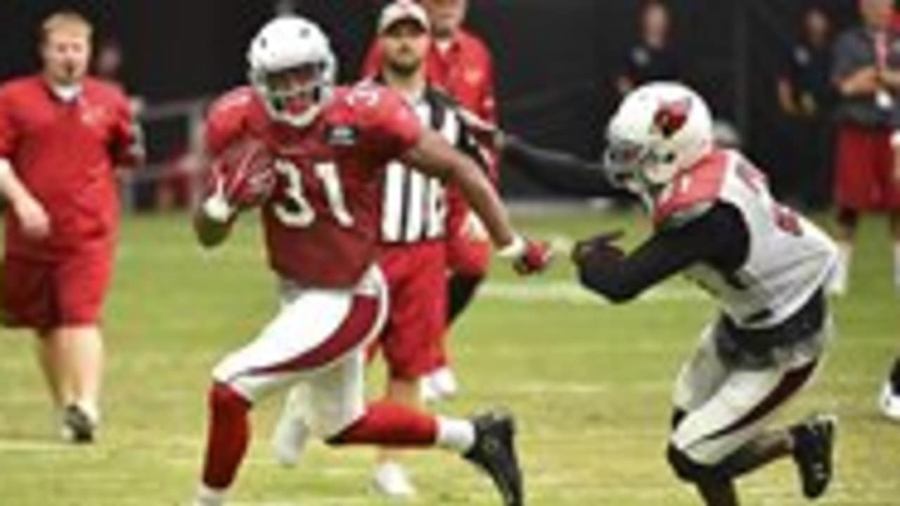 Spotlight Shines On David Johnson