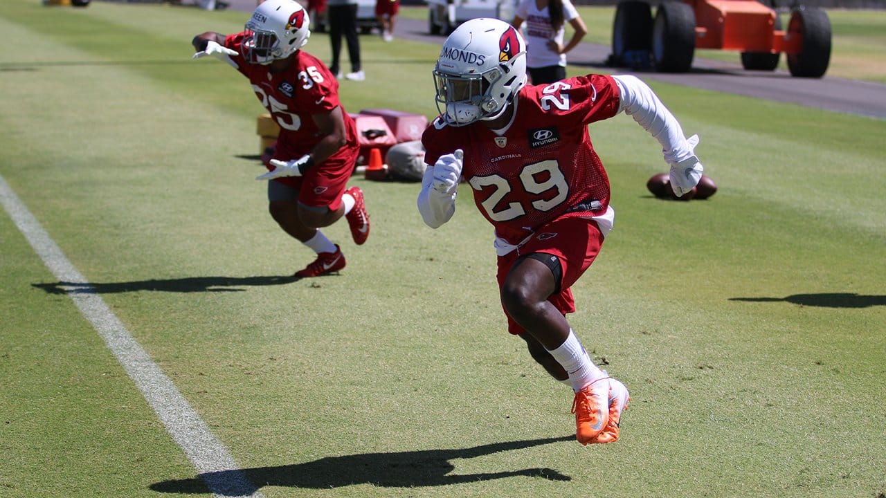 Rookie Highlights - Chase Edmonds