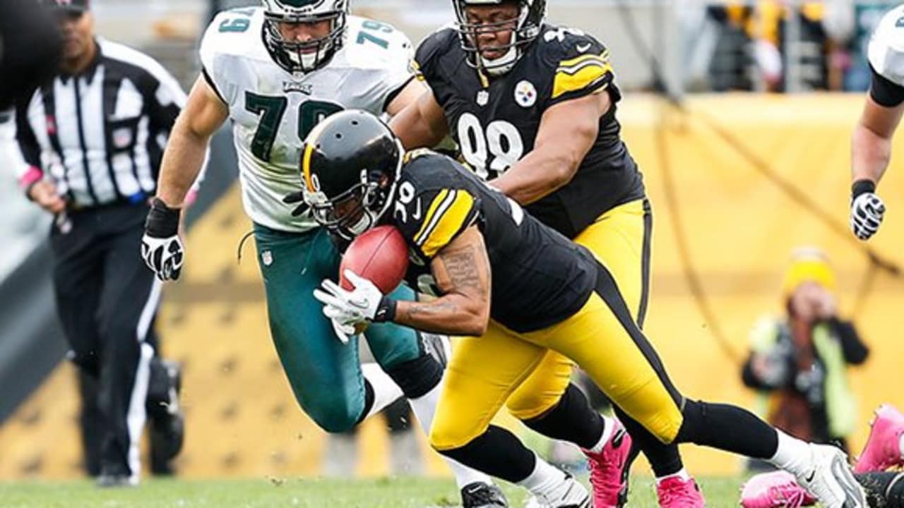 Steelers linebacker Larry Foote fumble recovery