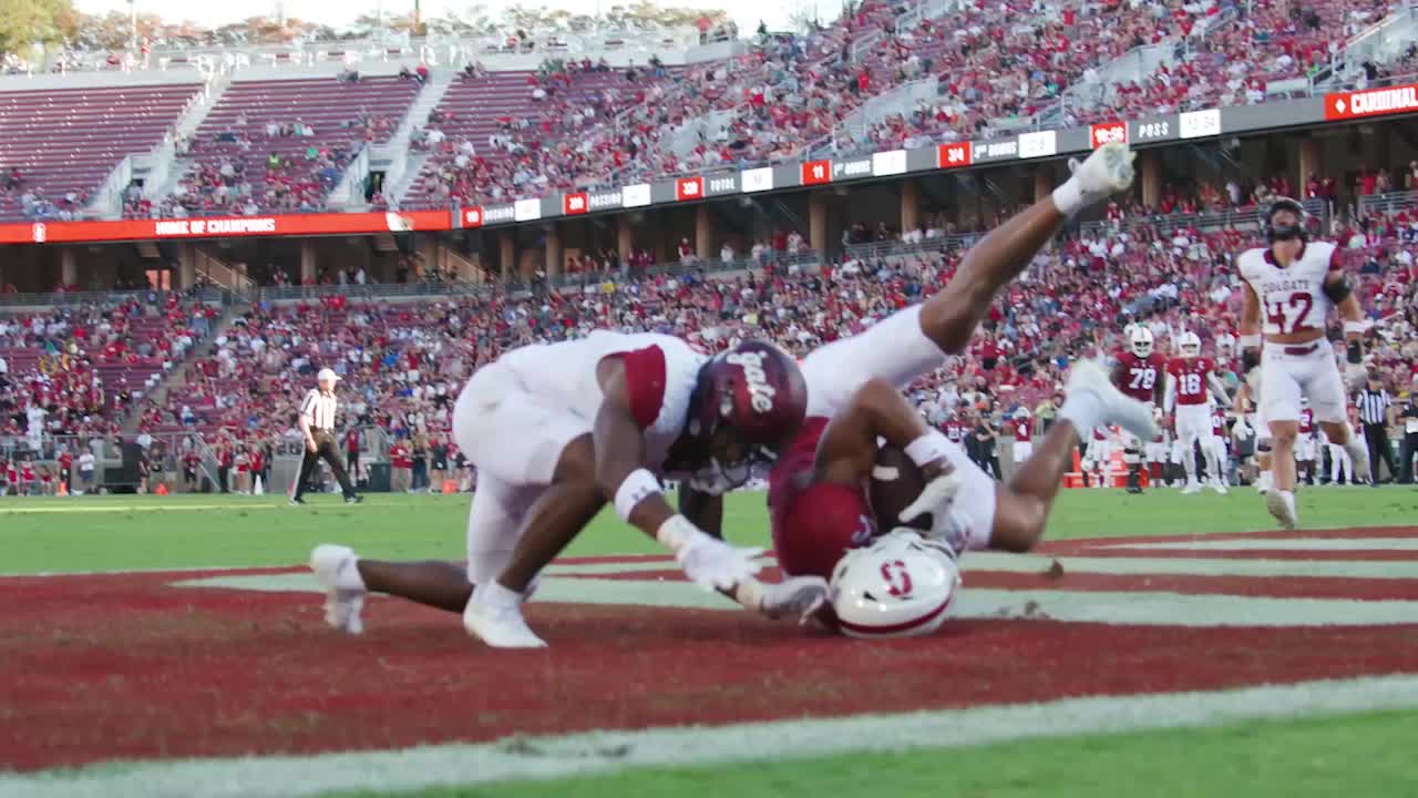 Michael Wilson College Highlights