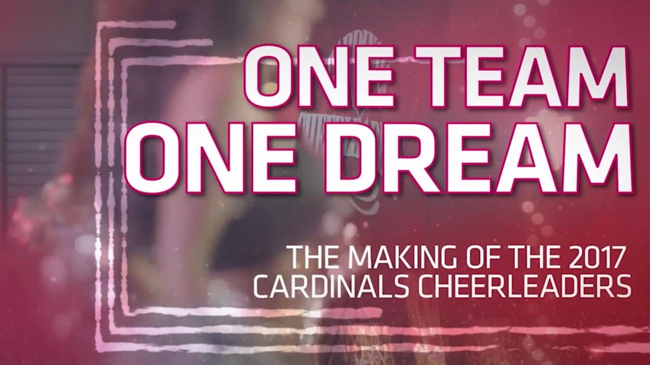 One Team One Dream - Segment One