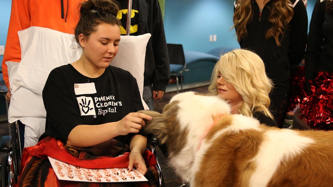 Teddy Bear Express 2015