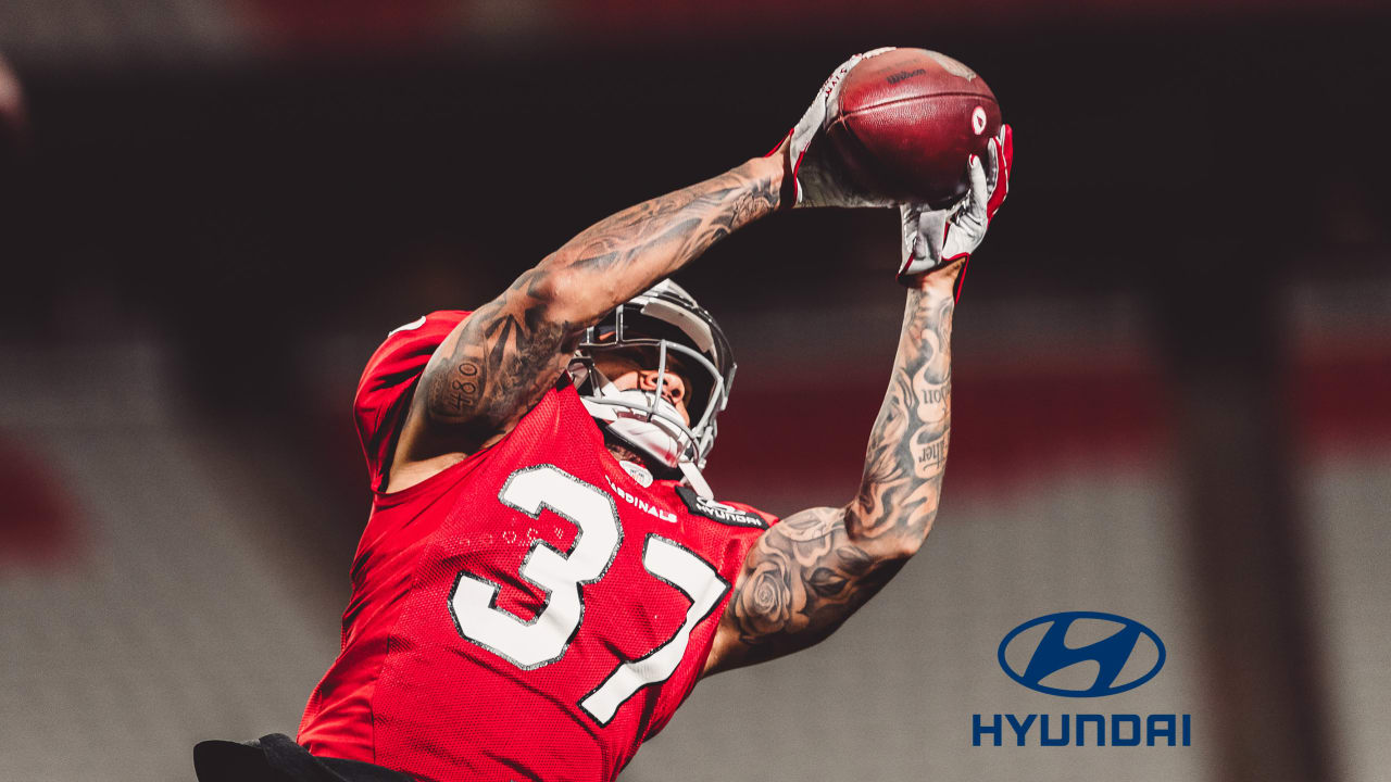 Bird Watch: First Day Of Pads