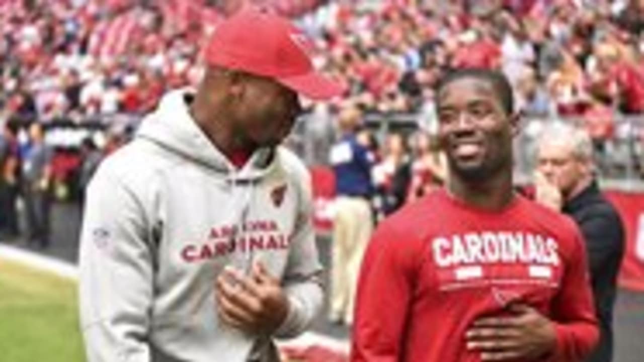 Breaking Down The Cardinals Roster