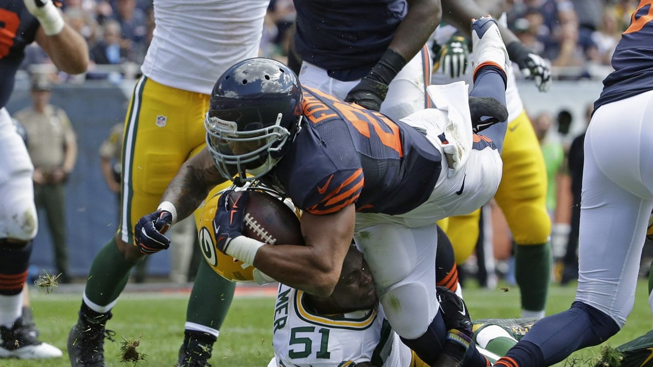 Get to know the Bears