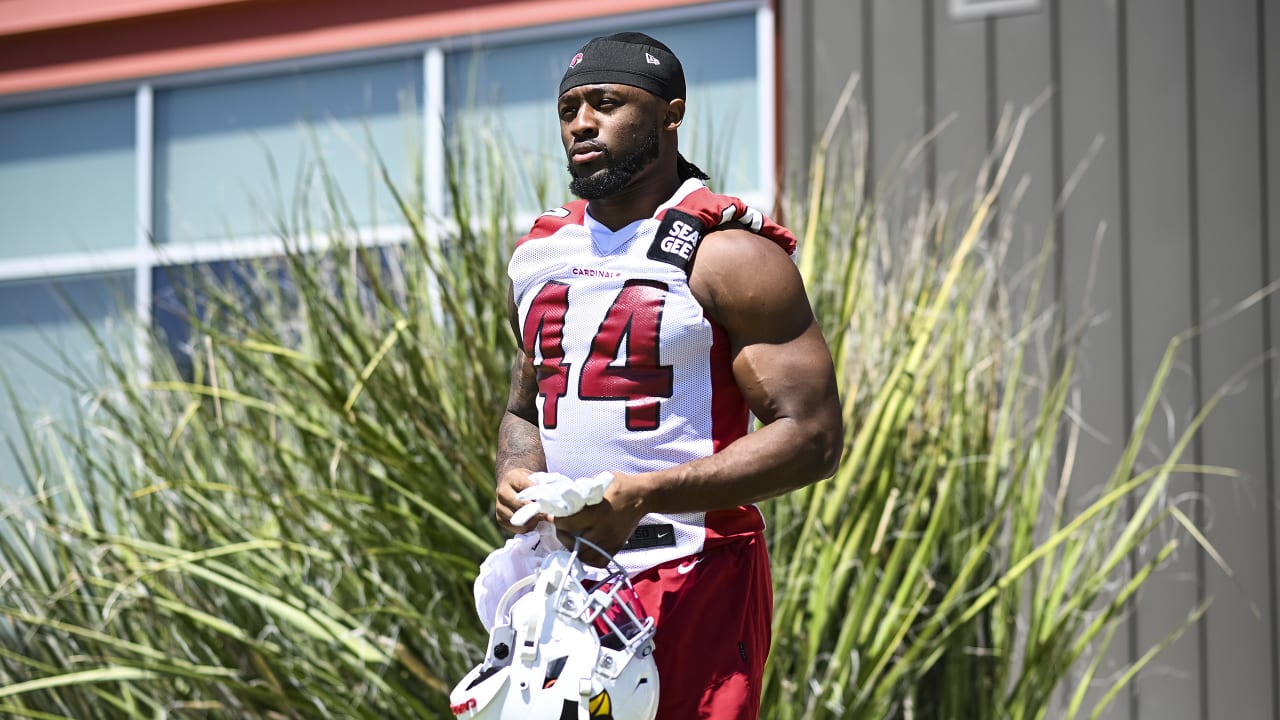 Cardinals linebacker Owen Pappoe hopes to turn The Freak nickname into ...