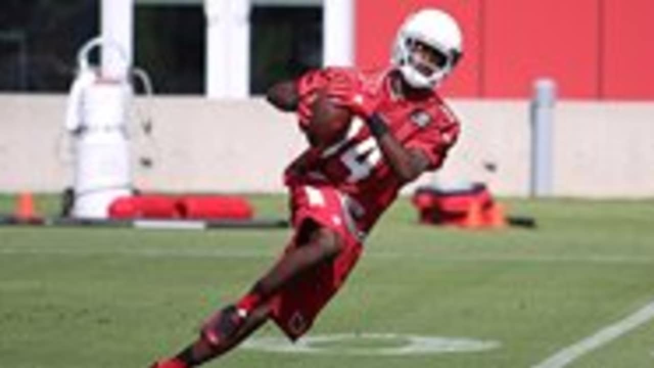 Confident J.J. Nelson Starts Year Two