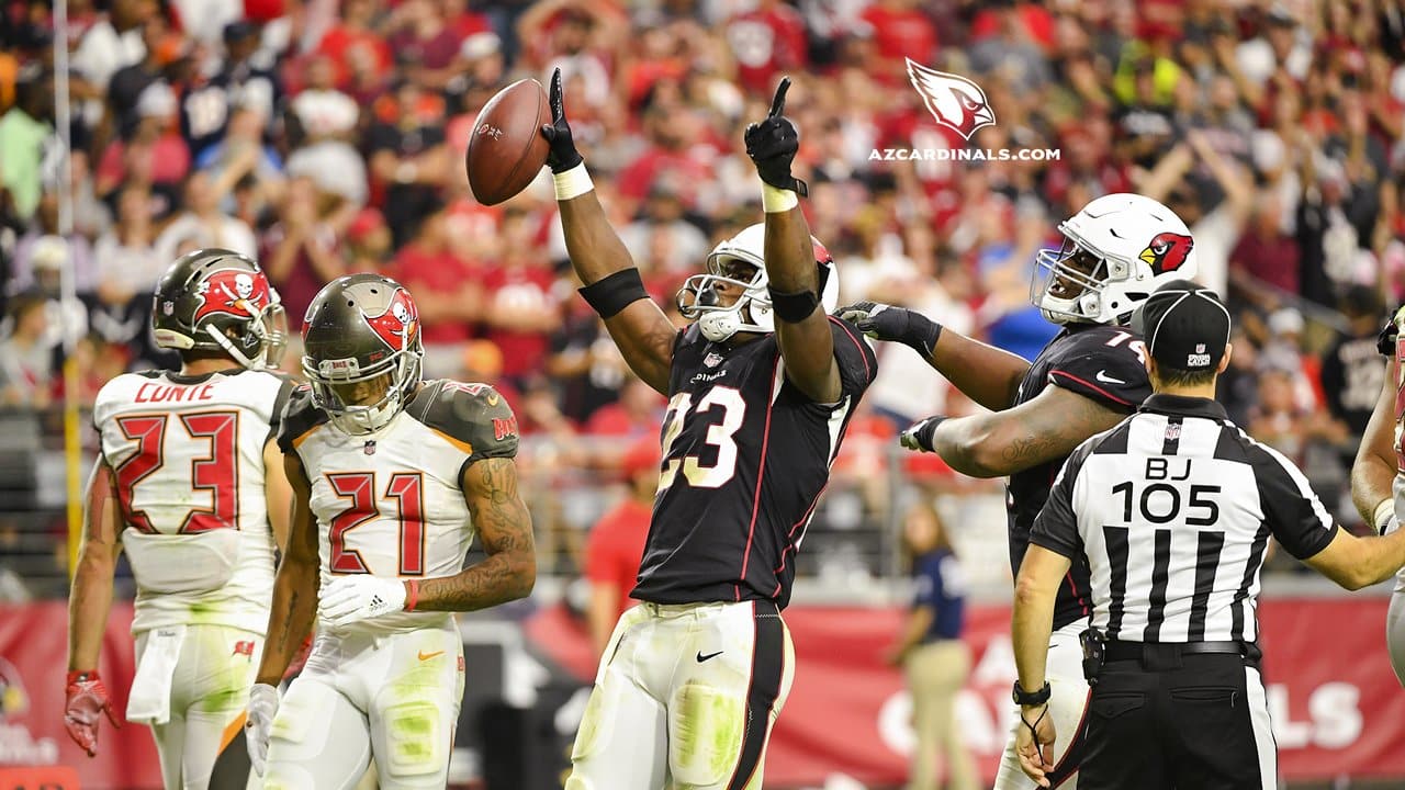 Cardinals Scoring Leaders