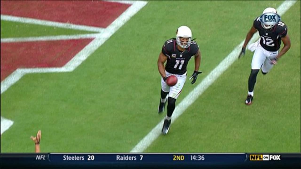 Larry Fitzgerald highlights