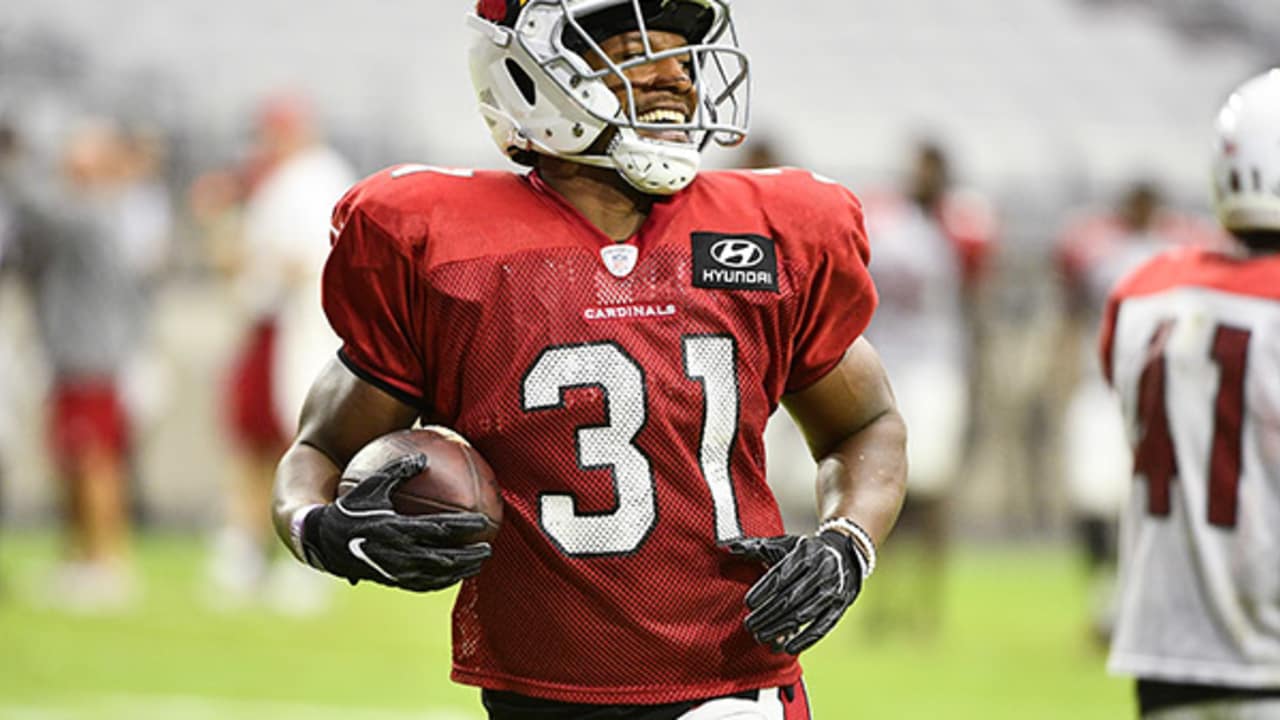 El Valor De David Johnson