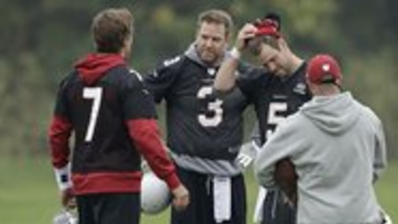QB Stability Long Gone, Drew Stanton Returns