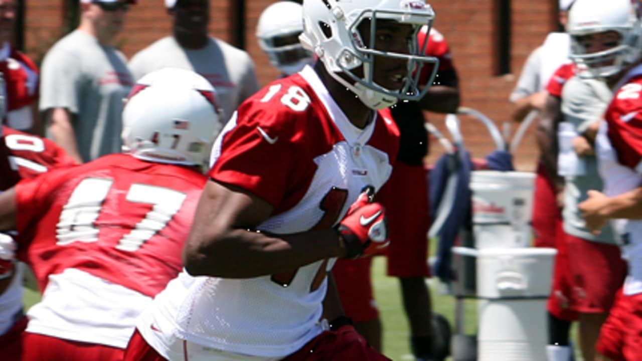 Stephen Williams Seeks A Spot