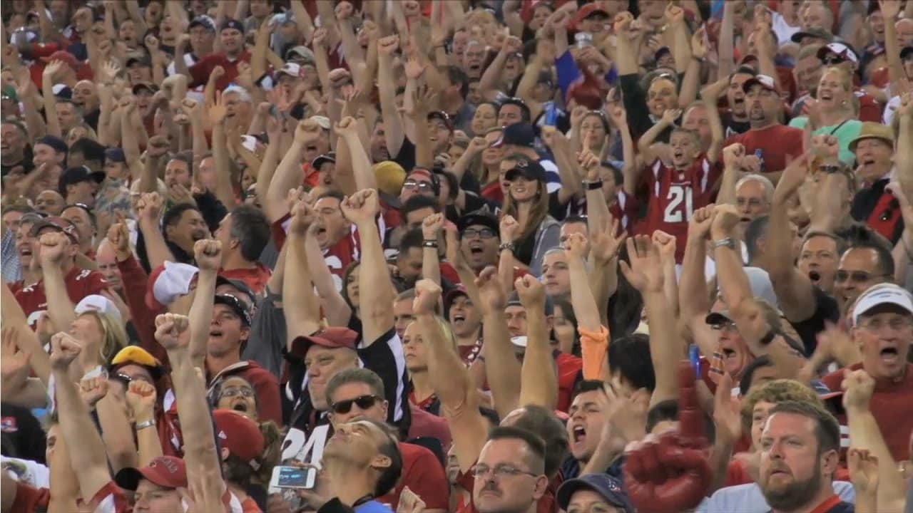 Cardinals Gameday Experience
