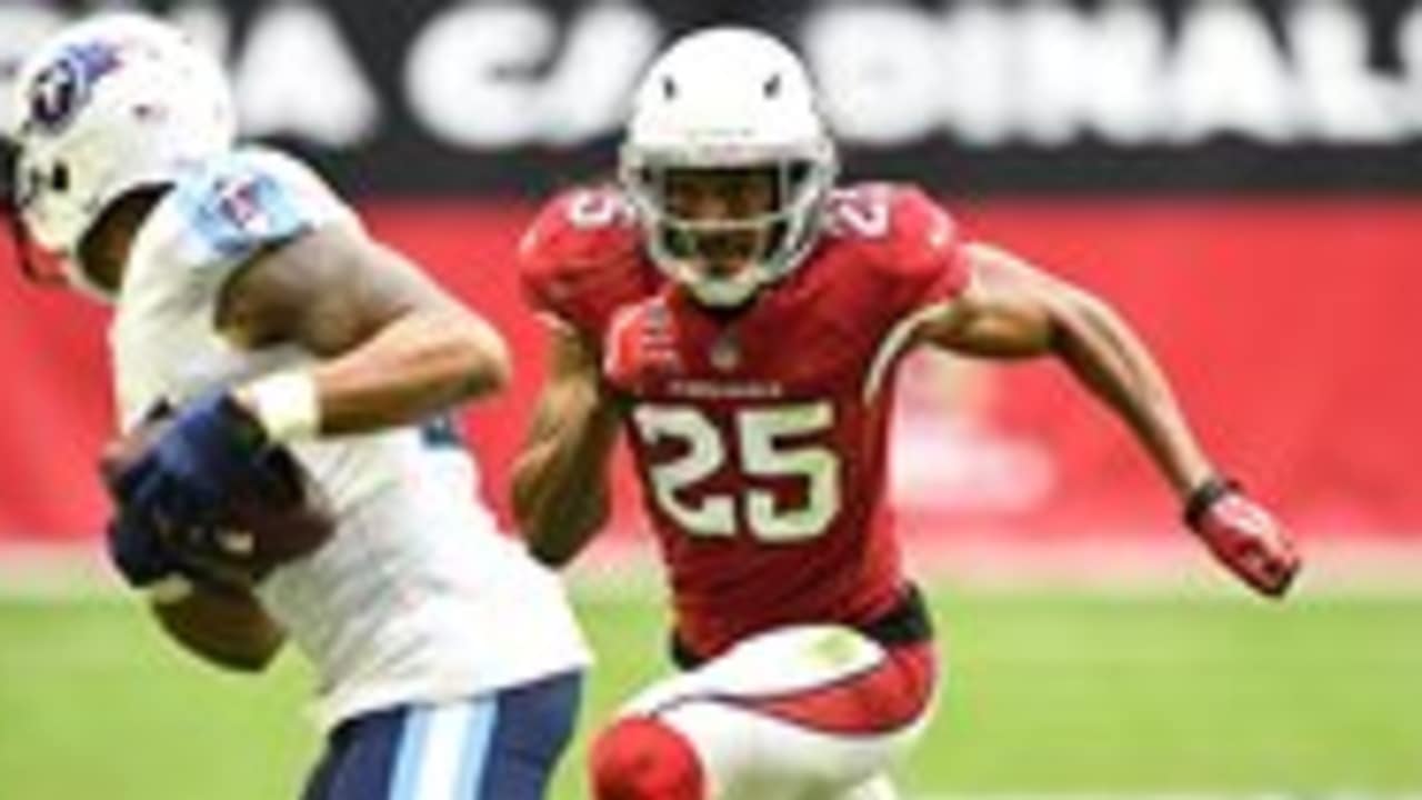 Tramon Williams And Future Cornerback Stability