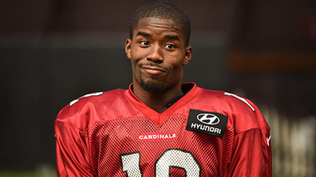 Smokey en la movida, y notas del #CardsCamp