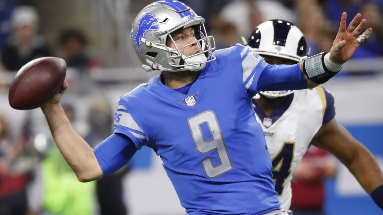 Get To Know The Lions