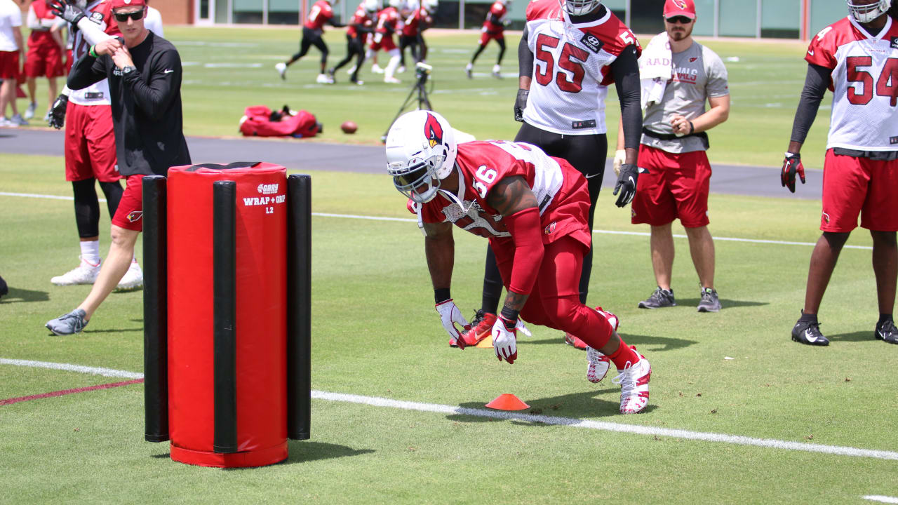 Highlights - Linebacker Work