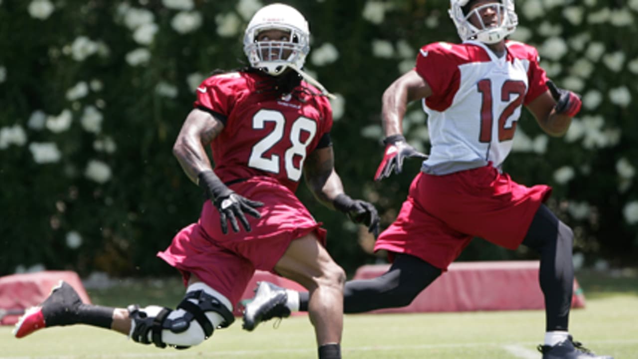 Toler Works On Comeback