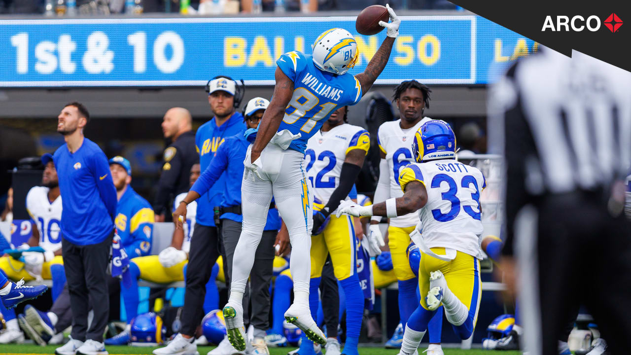 Mike Williams Is a Walking Highlight Reel