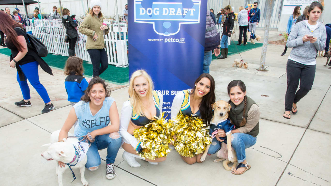 First Annual Dog Draft a Huge Success
