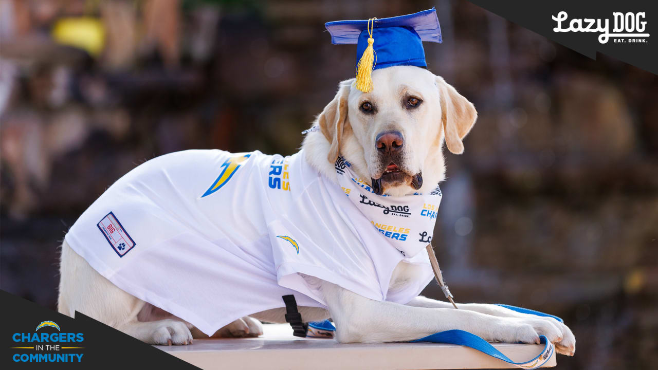 Chargers Pup Brisket Graduates!