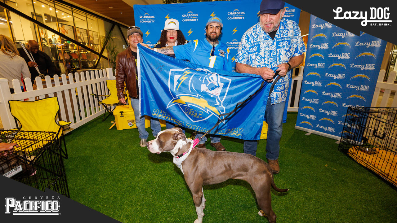 Photos: Doggy Draft Presented by Pacifico and Lazy Dog Restaurants