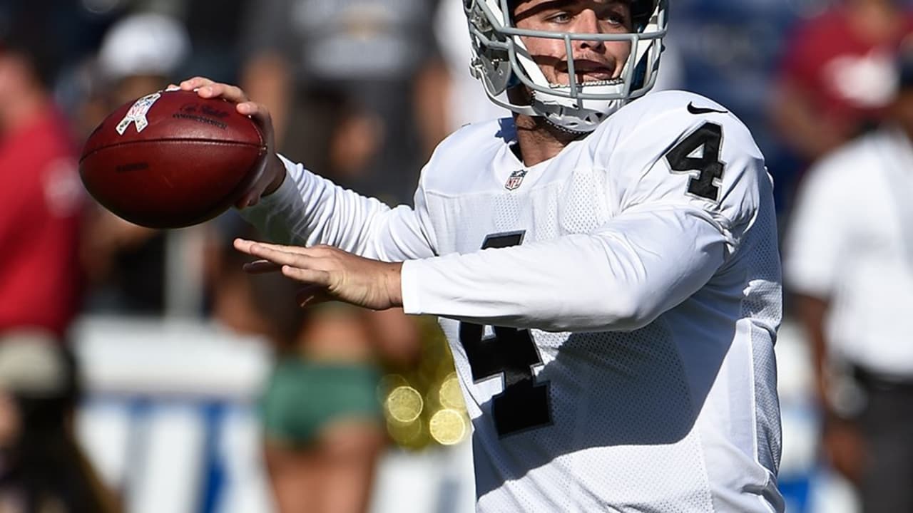 Photo Gallery: Meet the Raiders