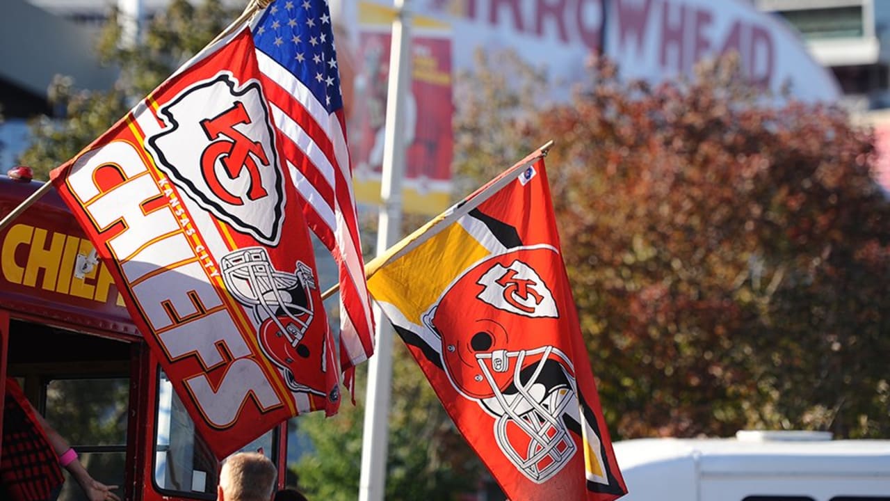 Fans at the Stadium in Photographs