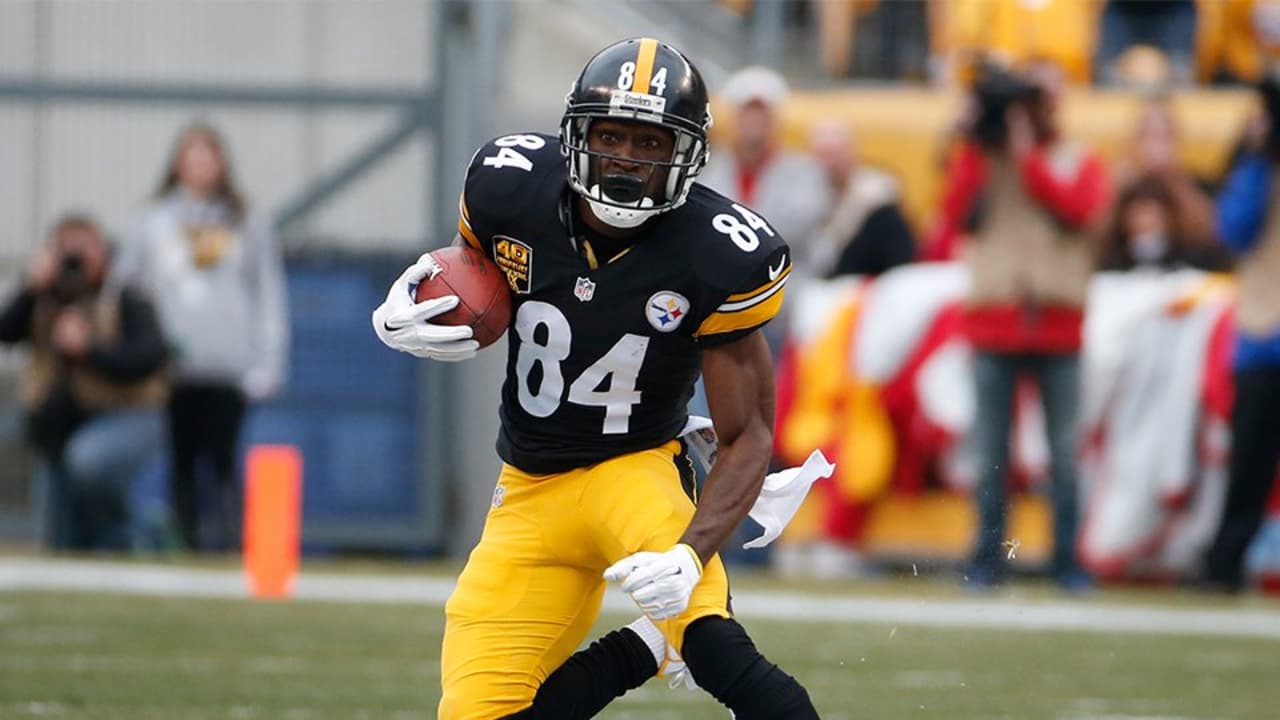 Photo Gallery: Meet the Steelers