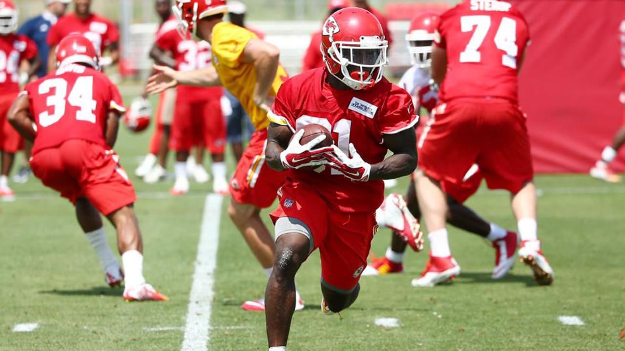 Rookie Tyreek Hill Isn't Patting Himself on Back for Making Plays in Shorts
